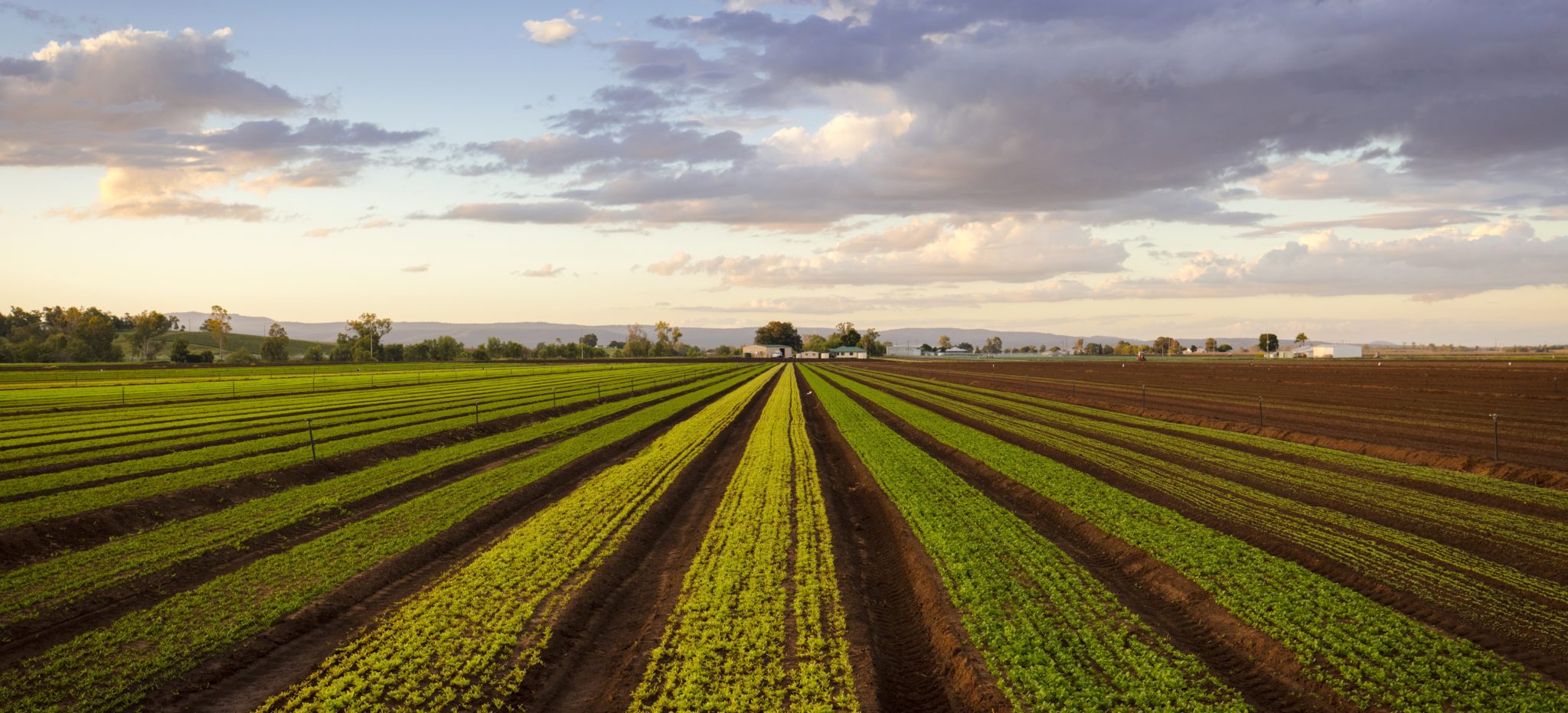 Inland Rail: The Future of Freight in Australia