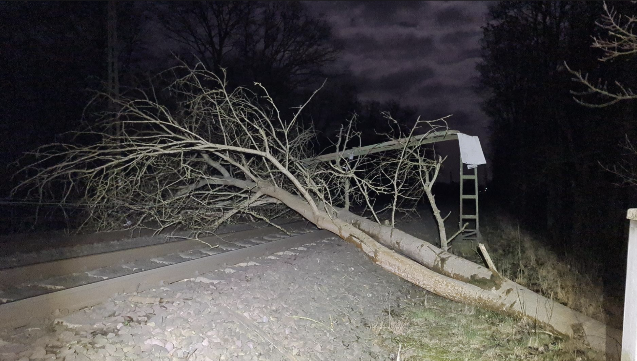 Rapid Response Insights for Storm Damage: A LiveEO World Premiere at ...