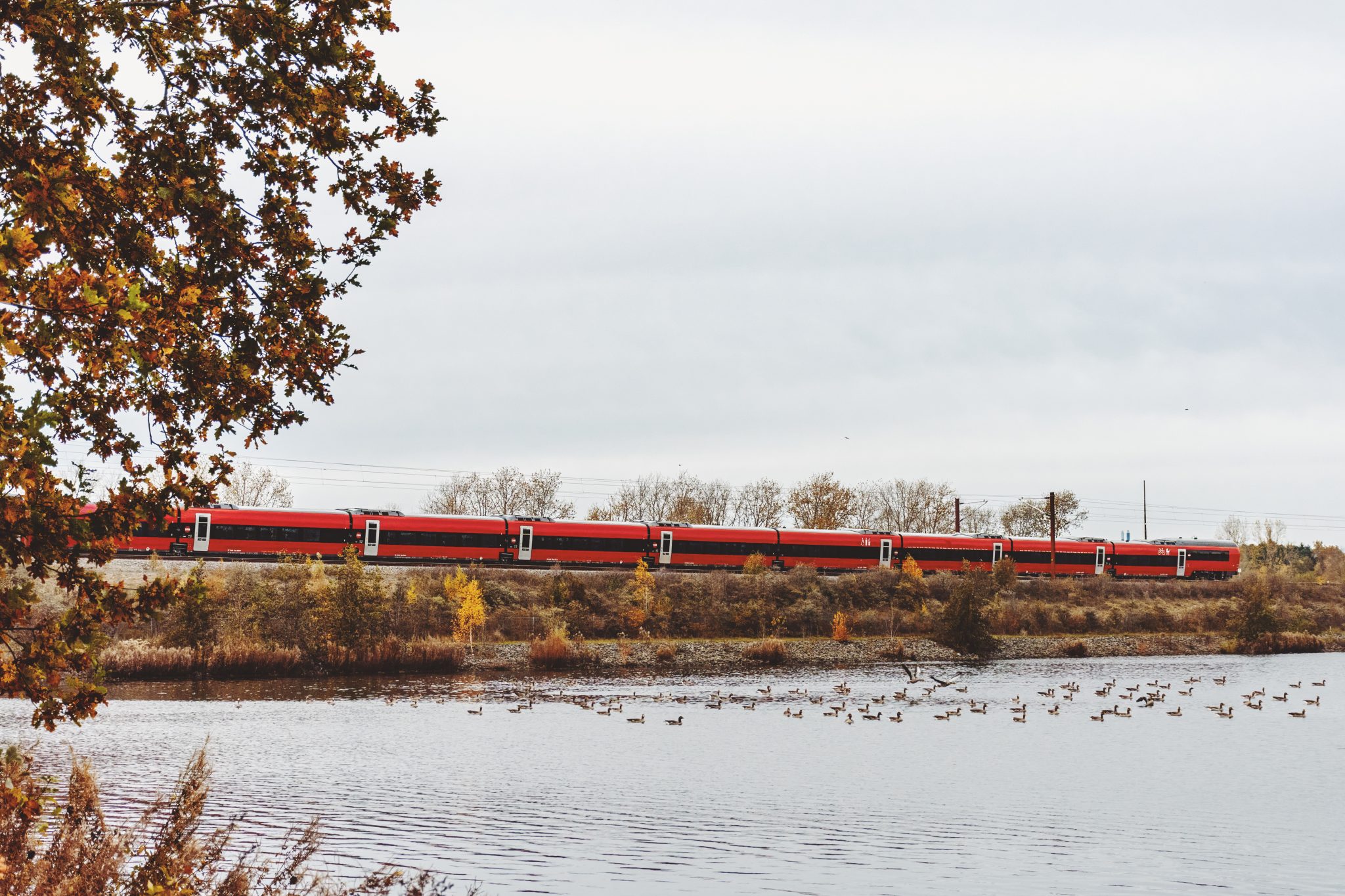 DSB Launches Talgo 230 Trains on Copenhagen–Hamburg EuroCity Services ...